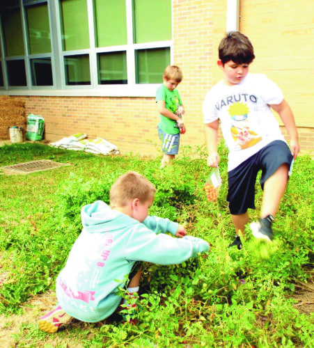 Outdoor learning center provides alternate recess for students | News ...